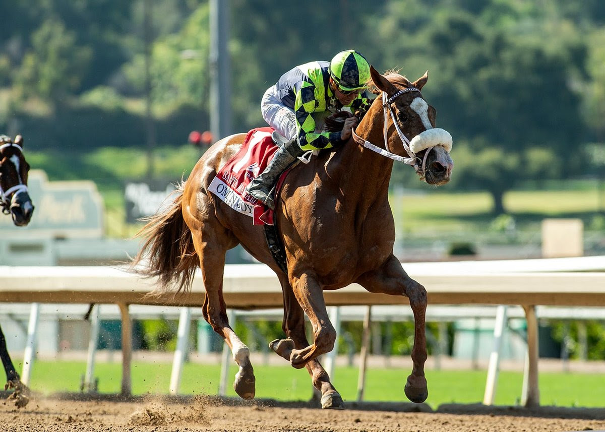 OM N JOY remata desde el último para ganar el Santa Margarita Stakes ...