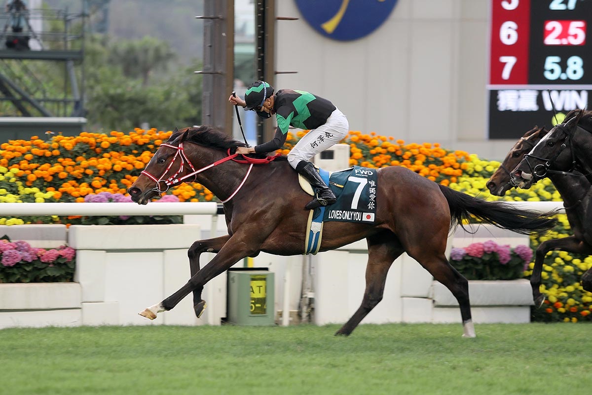 LOVES ONLY YOU se luce en Hong Kong | Hipismo.Net