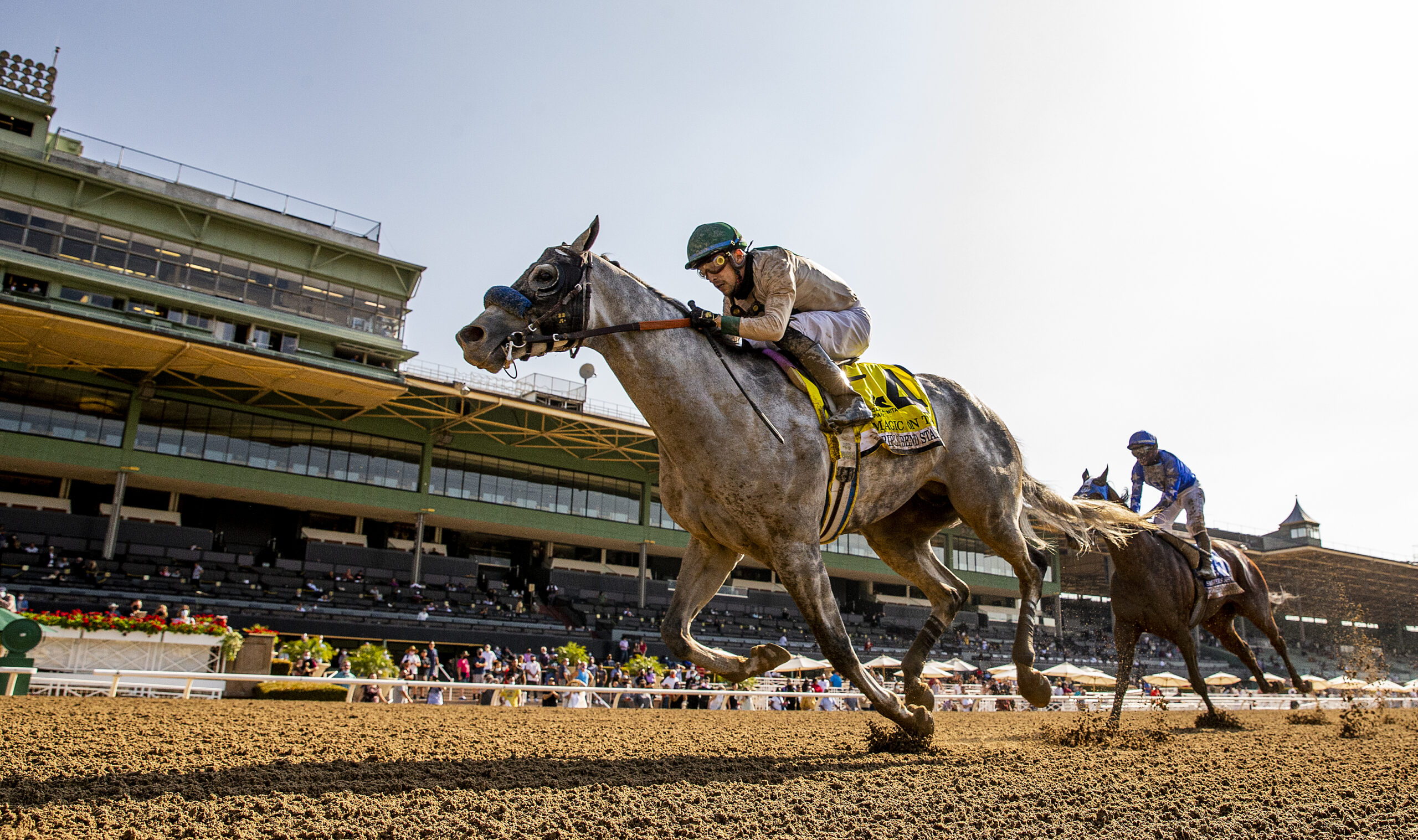 MAGIC ON TAP, otro ganador selectivo para TAPIT | Hipismo.Net