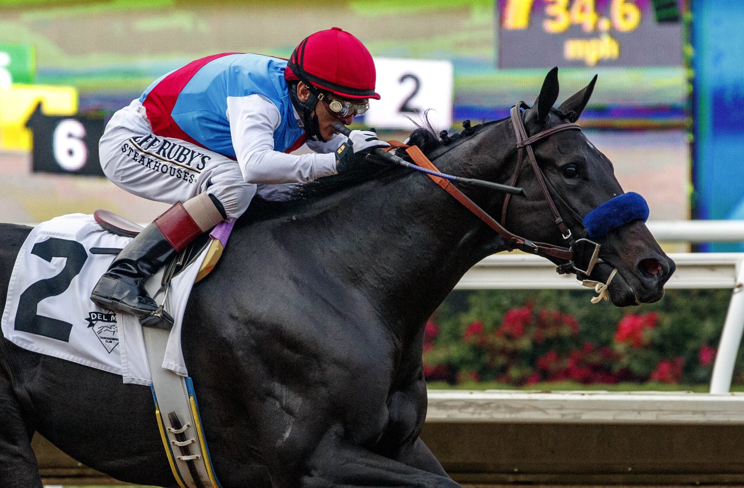 MEDINA SPIRIT gana de punta a punta en Del Mar | Hipismo.Net