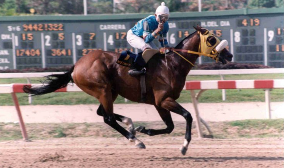 LA RINCONADA: Primer Clásico MY OWN BUSINESS | Hipismo.Net