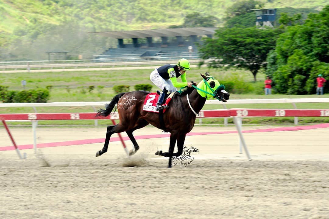 SANDOVALERA invicta logró Triple Corona de potras | Hipismo.Net