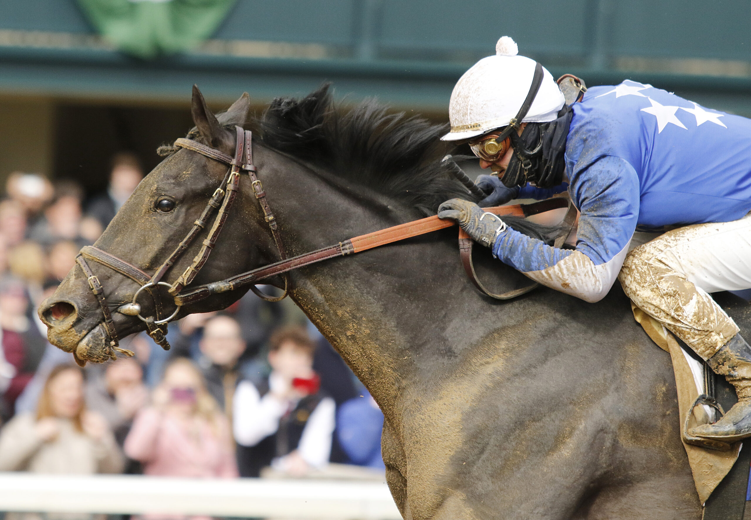 ZANDON fue el que sonrió en el Blue Grass | Hipismo.Net