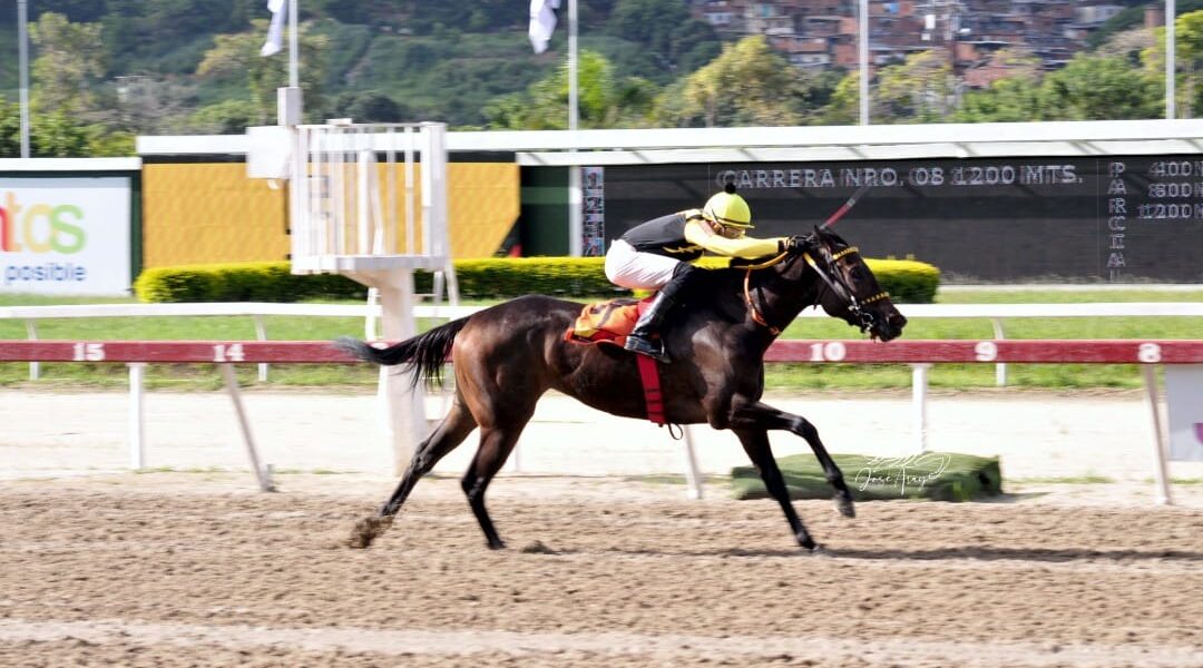 TURBINADA fácil victoria en 1.200 metros | Hipismo Net