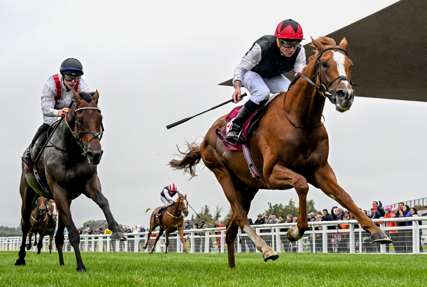 KYPRIOS mantiene la racha ganadora en el St. Leger de Curragh | Hipismo ...