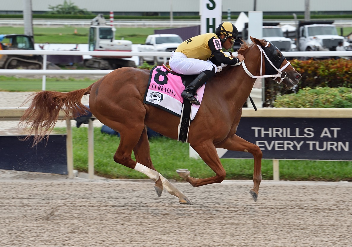 AWESOME STRONG arrasa en los FTBOA Florida Sire Stakes – Hipismo.Net