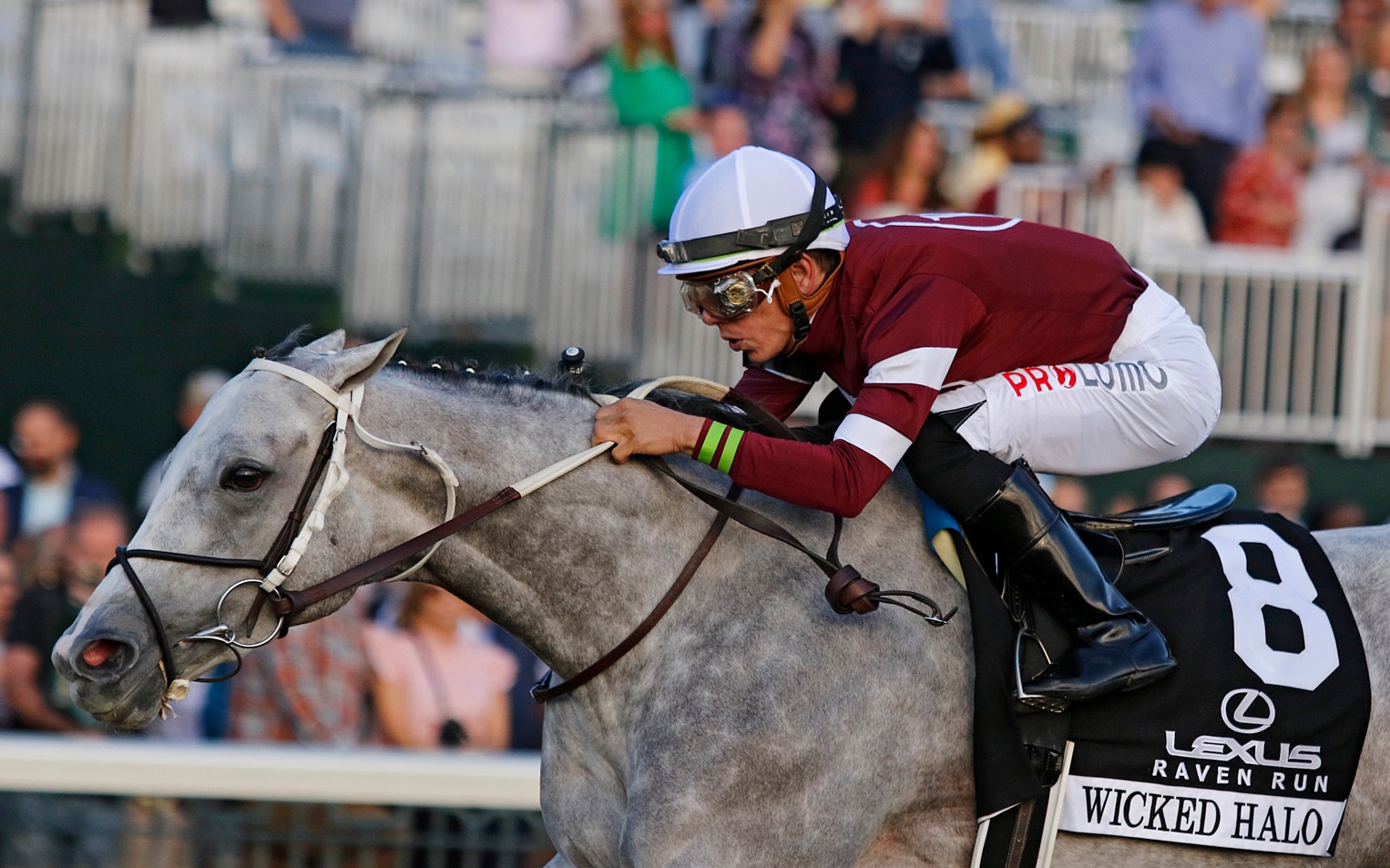 WICKED HALO sin enemigos en el Raven Run Stakes | Hipismo.Net