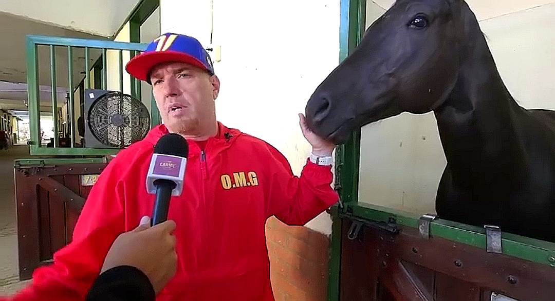 #SHC2022 | El venezolano Oscar González entrena a los ejemplares ...