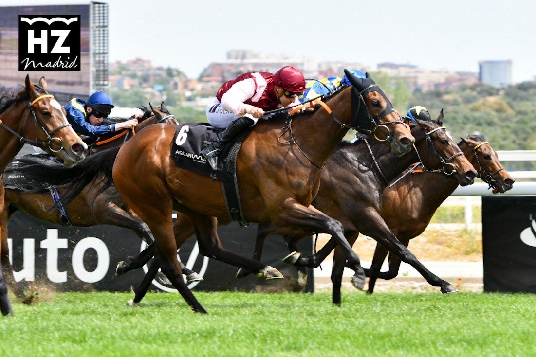 IT´S CHICO TIME se impone en el Cimera, y LOVE FOR LIFE da la sorpresa ...