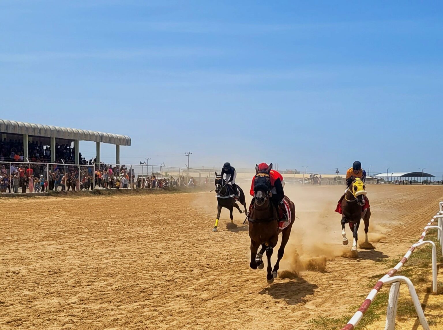 Domingo 14 de enero carreras en el Hipódromo de Paraguaná Dr. Víctor ...