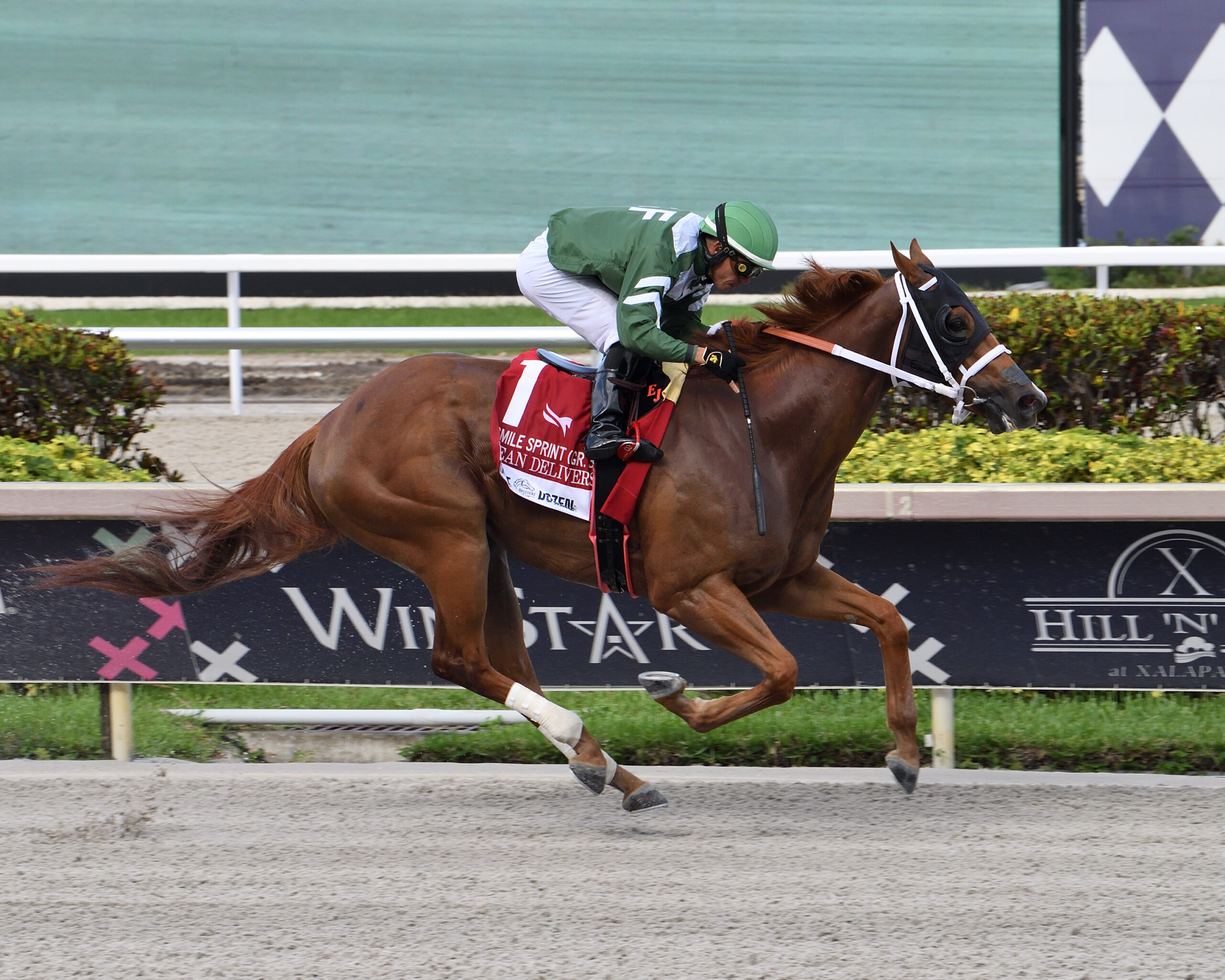 DEAN DELIVERS de punta a punta en el Smile Sprint | Hipismo.Net
