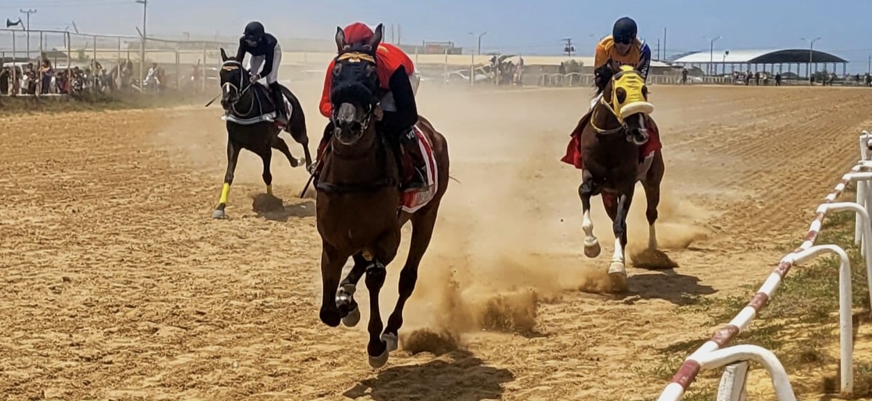BERNINI conquistó la Triple Corona Patria en el Hipódromo de Paraguaná ...