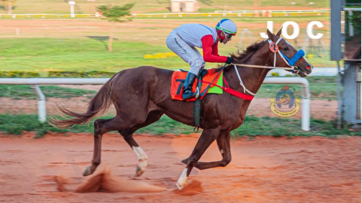 CRISCRAFT y KUÑA CHINGOLI ganan las Guineas guaraníes | Hipismo.Net