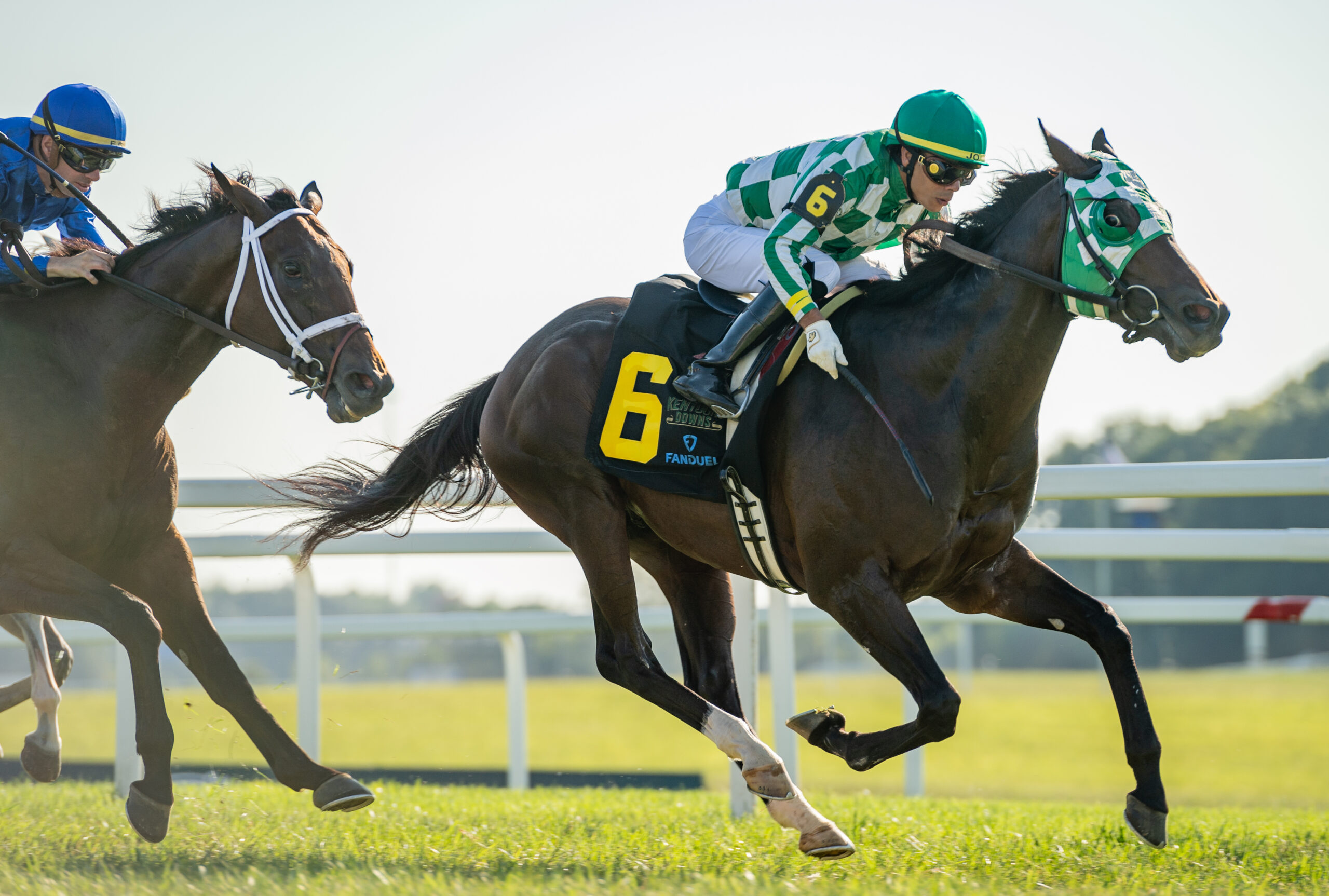 TALK OF THE NATION gana con "El mago" el Gun Runner Stakes | Hipismo.Net