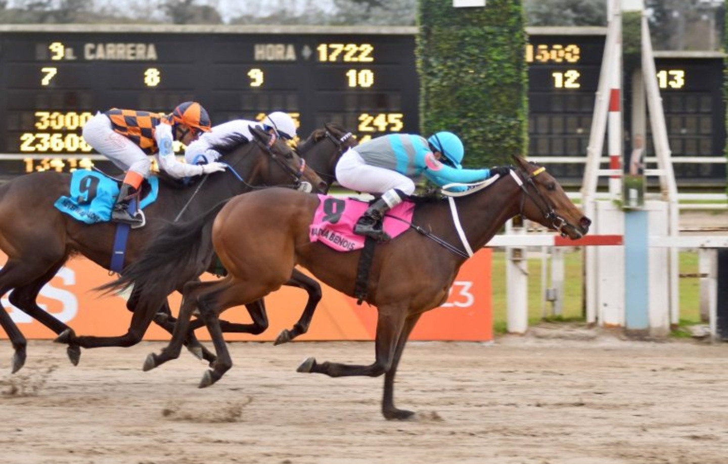 MADONNA BENOIS se quedó con el primer paso de la Triple Corona de ...
