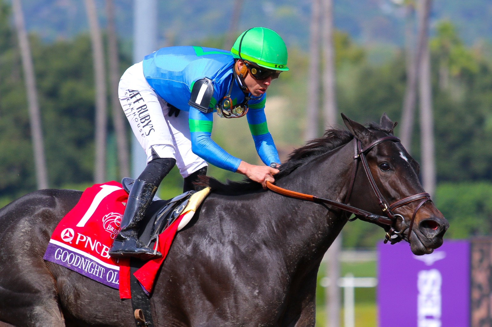 La Campeona GOODNIGHT OLIVE repitió en la Breeders’ Cup Filly & Mare ...