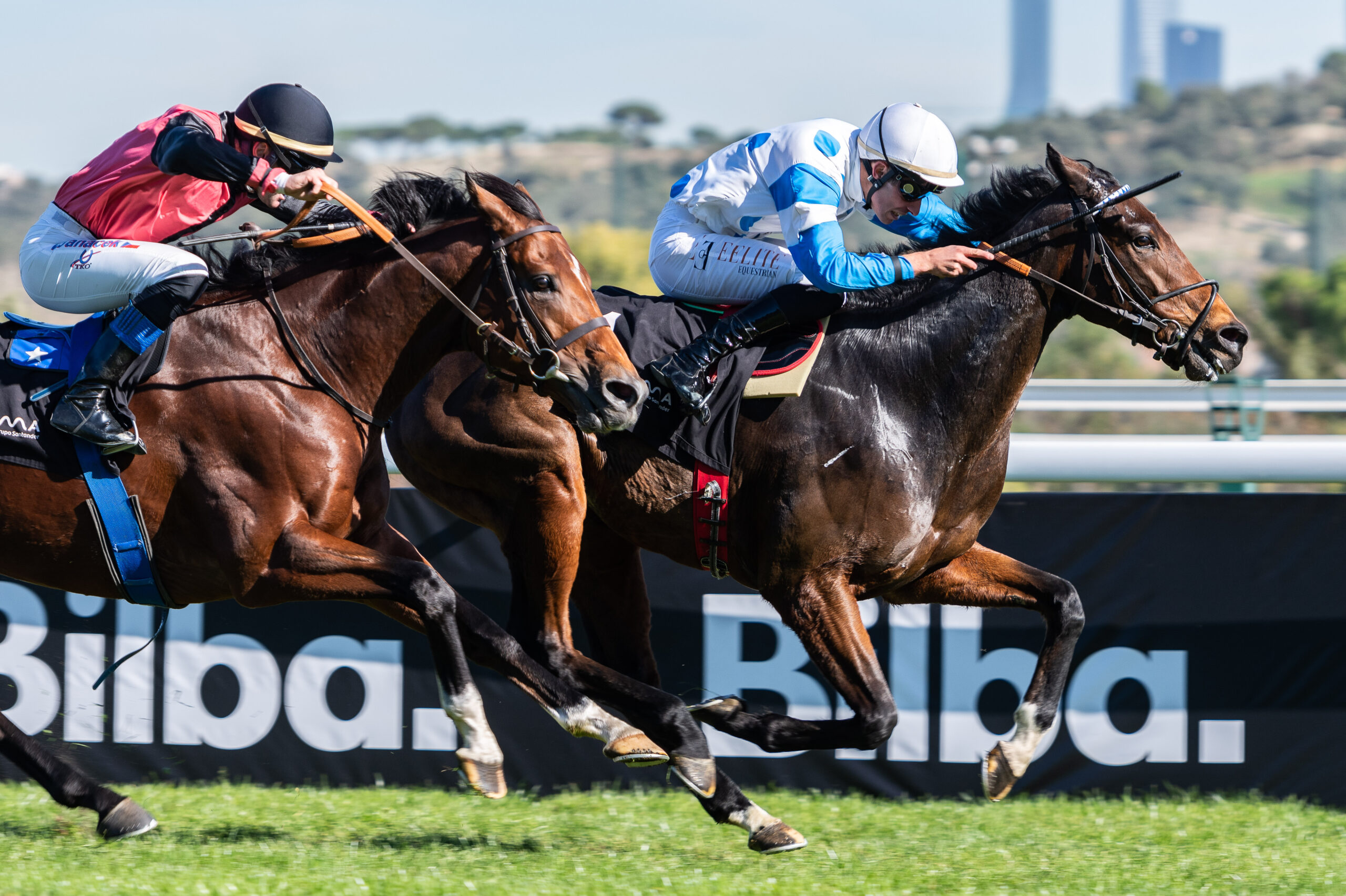 COMPETITIVA EDICIÓN EN EL ROMÁN MARTÍN Y SUS PECULIARES 2.000 M., CON ...