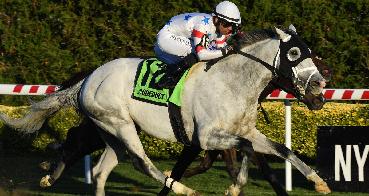 Otra vez Richard Dutrow Jr.: el chileno MASTER PIECE se alzó con el Red ...