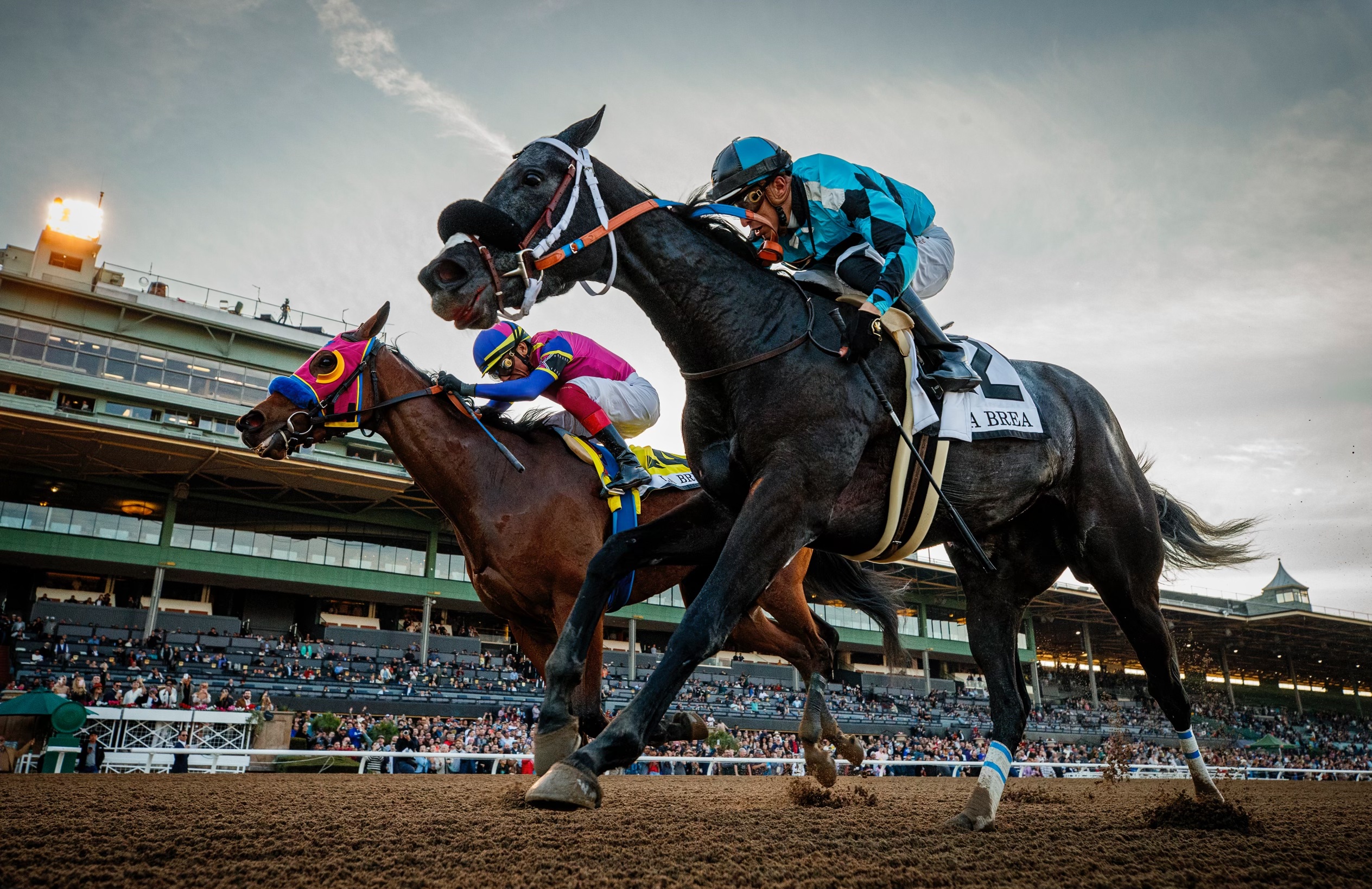 La californiana DADDYSRUBY lo dio todo para triunfar en el La Brea S ...