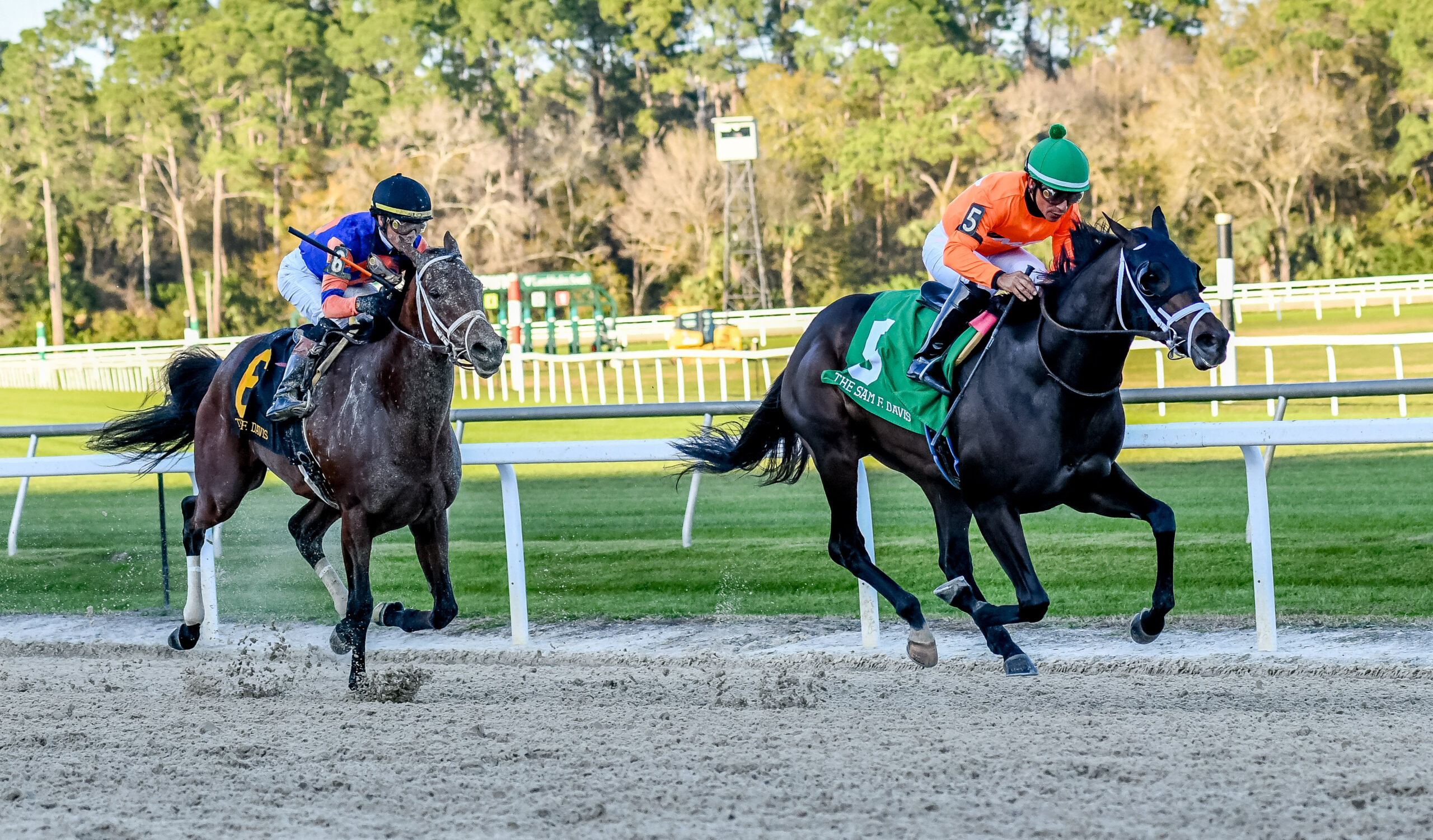 DECLARACIÓN CONJUNTA DE AMTOTE INTERNACIONAL, INC. Y DE ROBERTS ...