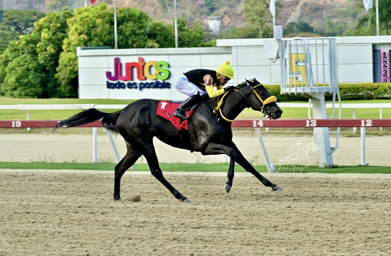 BROWN SUGAR por su segunda corona el domingo 30 de junio en La ...
