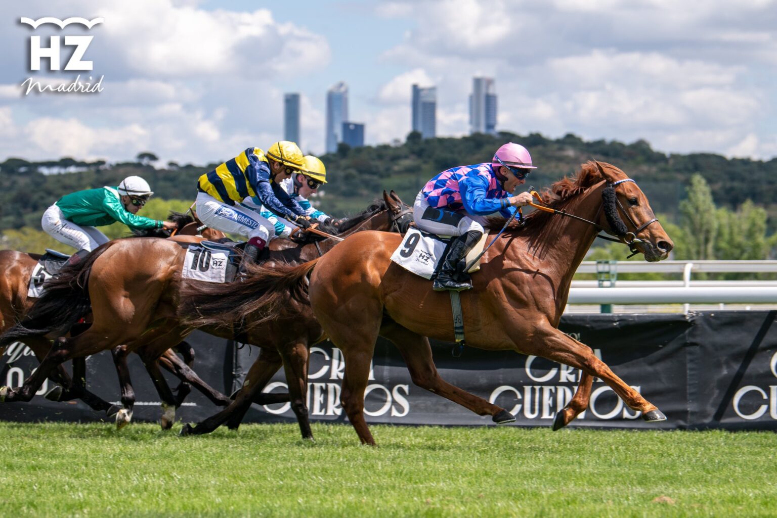 Tremenda victoria de THE SNAPPER en el Andrés Covarrubias | Hipismo.Net