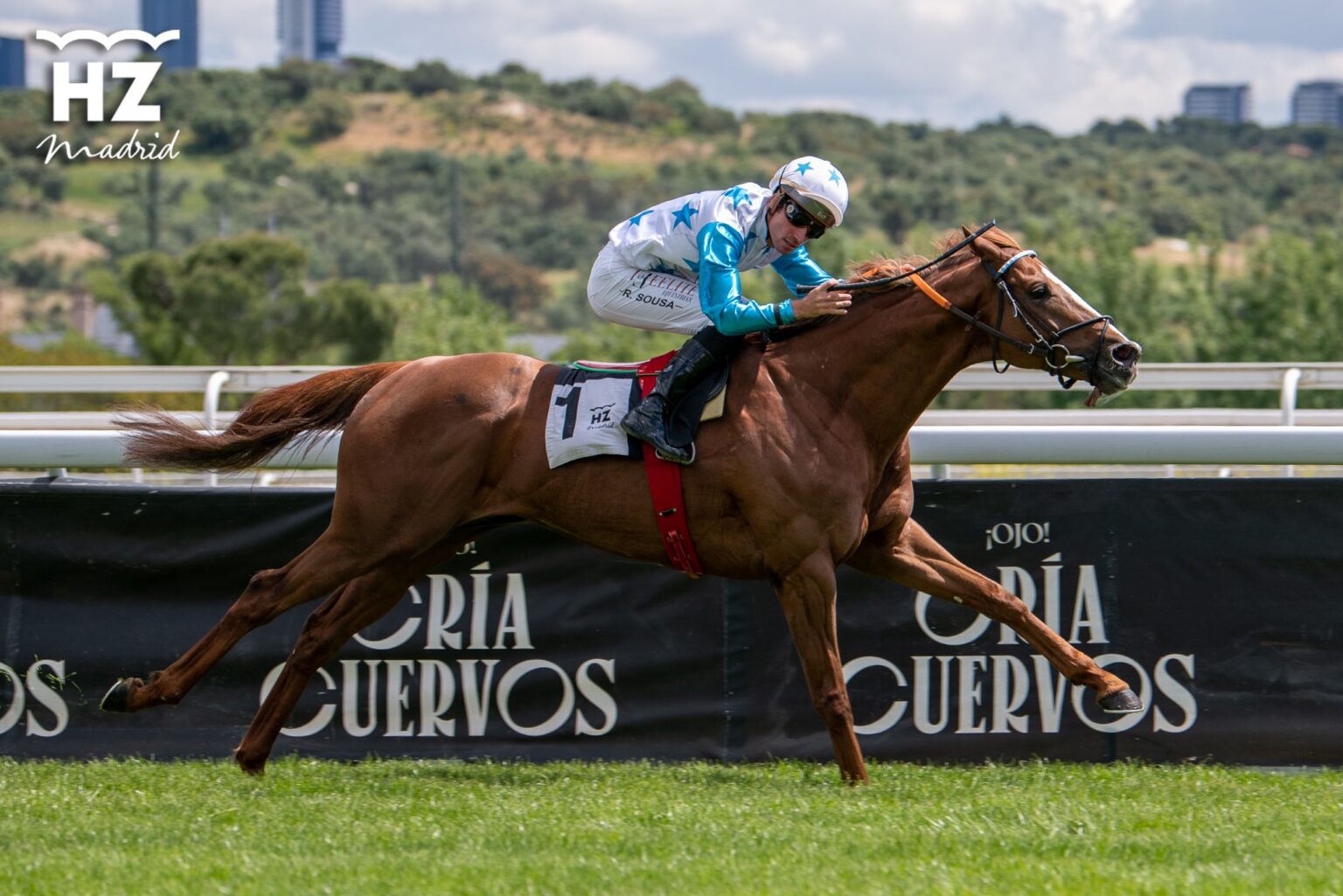 Tremenda victoria de THE SNAPPER en el Andrés Covarrubias | Hipismo.Net
