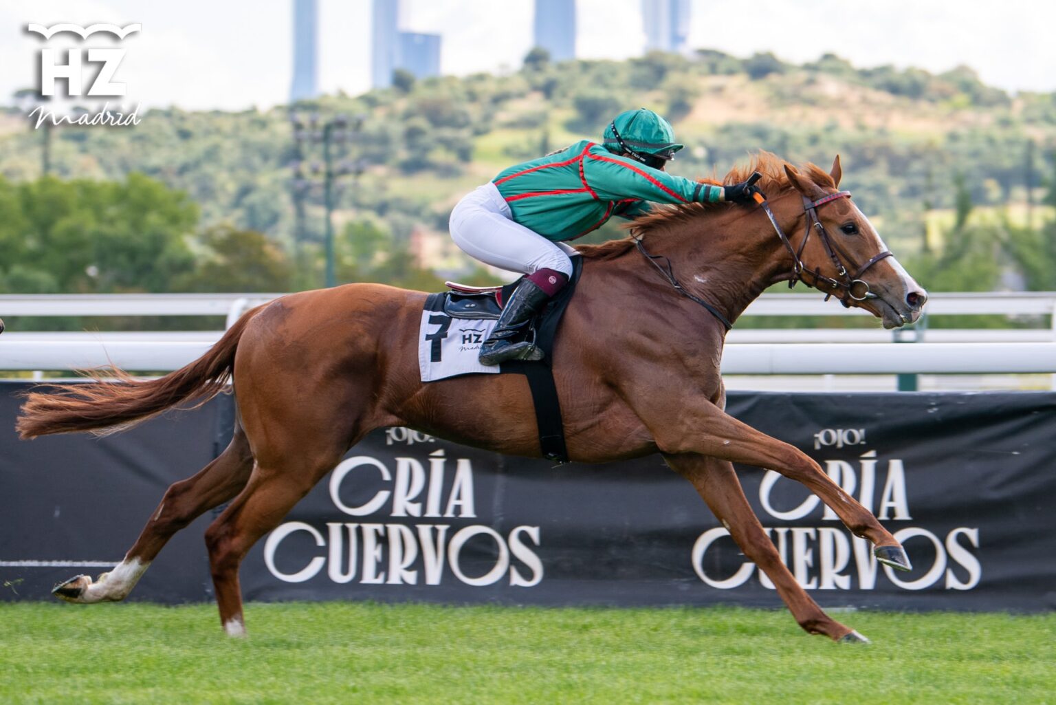 Tremenda victoria de THE SNAPPER en el Andrés Covarrubias | Hipismo Net