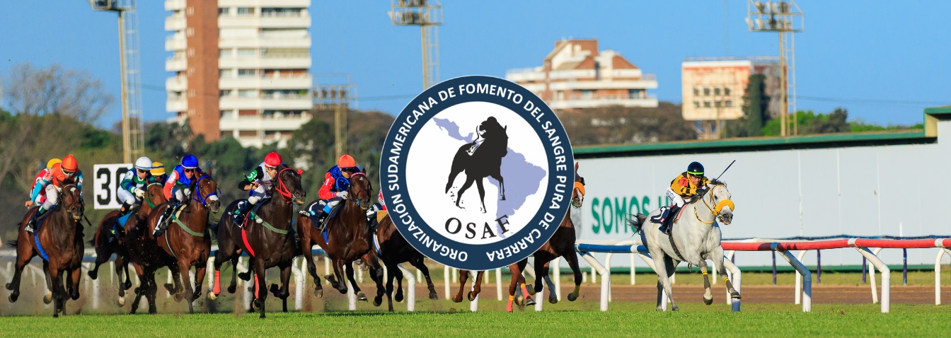 OSAF anuncia el Calendario Clásico 2025 | Hipismo.Net