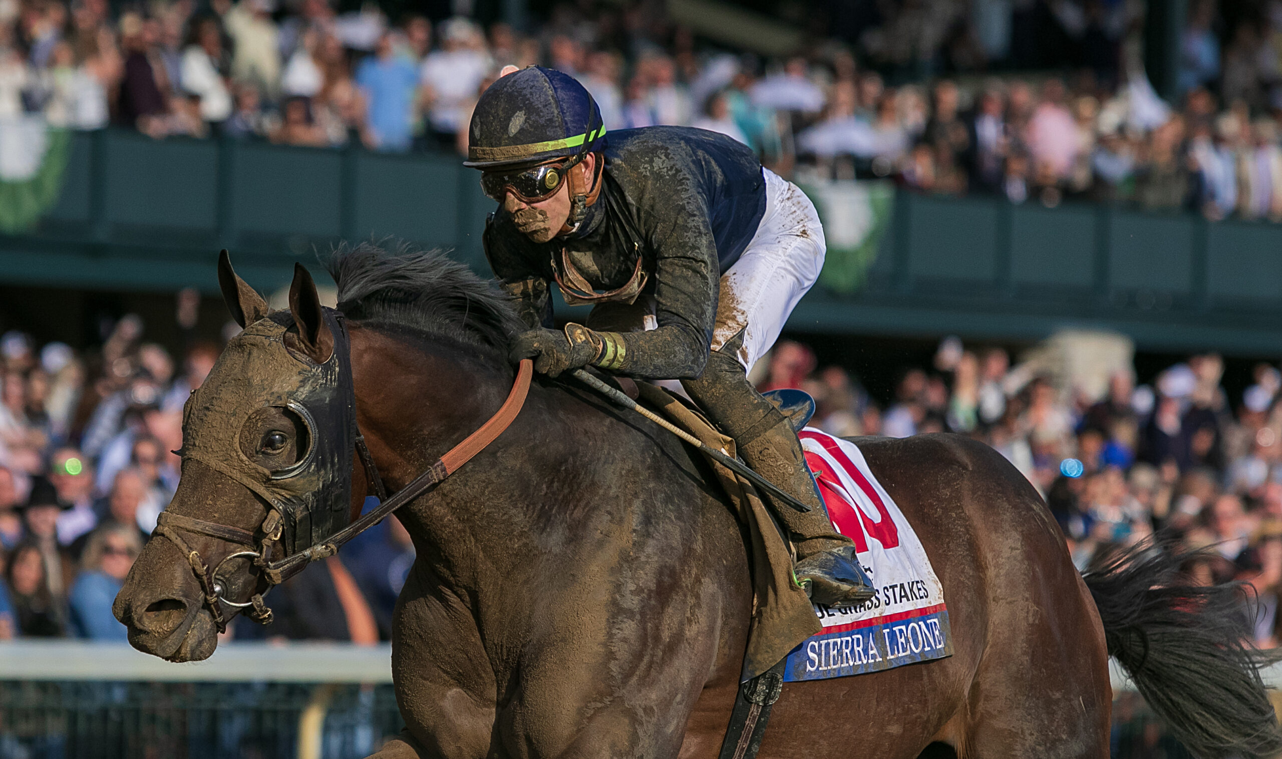 Así quedó el puntaje rumbo al Kentucky Derby 2024 | Hipismo.Net