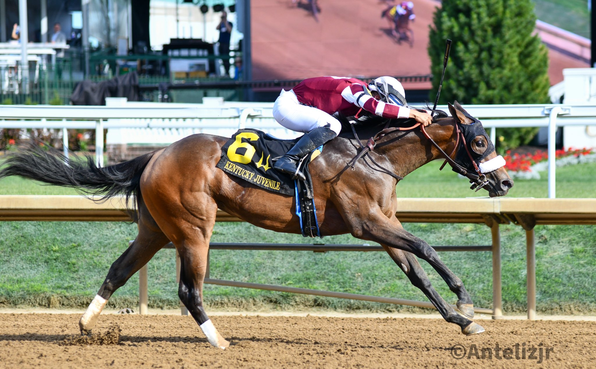 WEST MEMORIAL da primer triunfo (y selectivo) al semental CARACARO ...