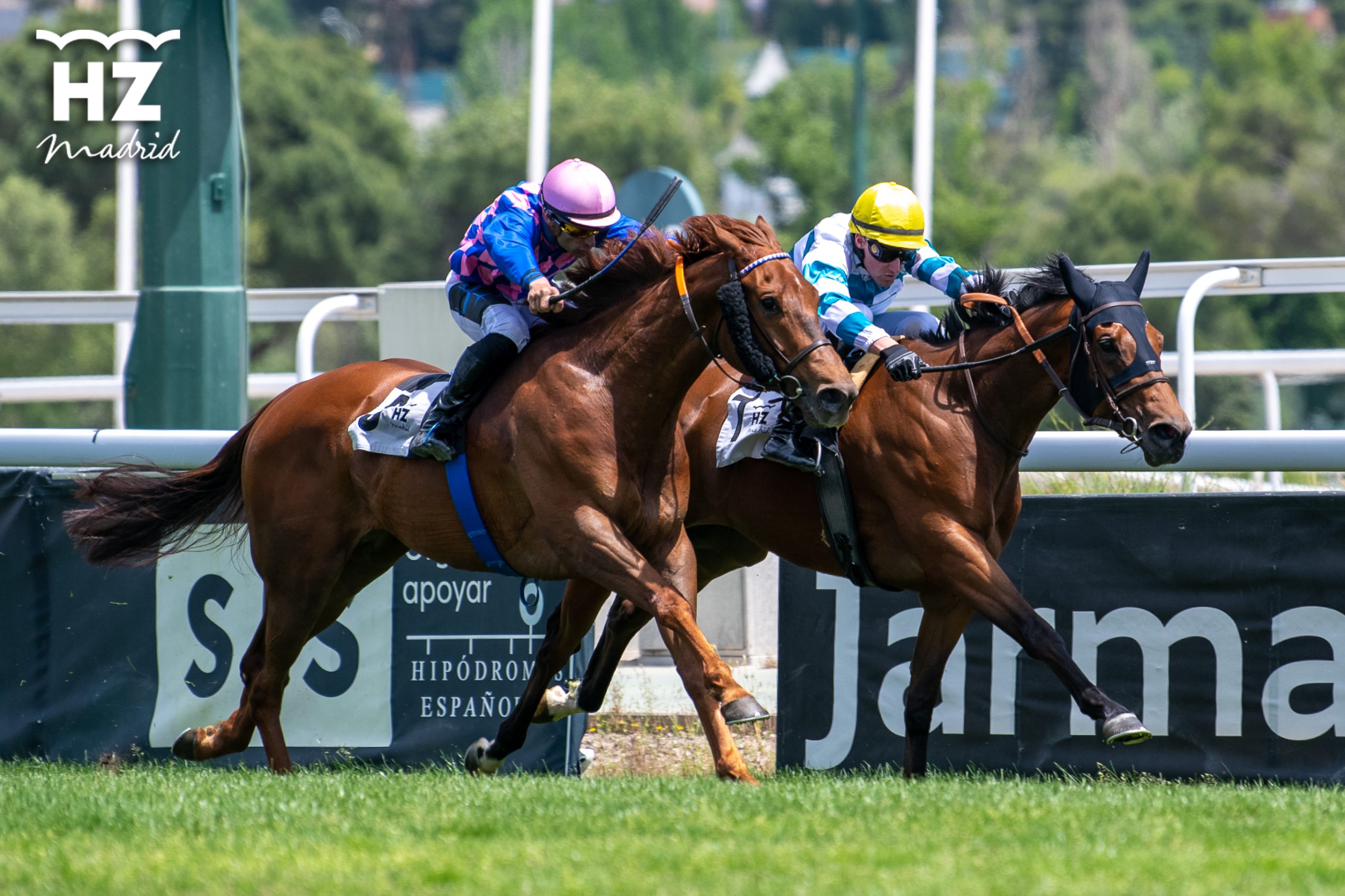 De punta a punta, FAITH ROSE se impone en el Nertal con el objetivo del ...