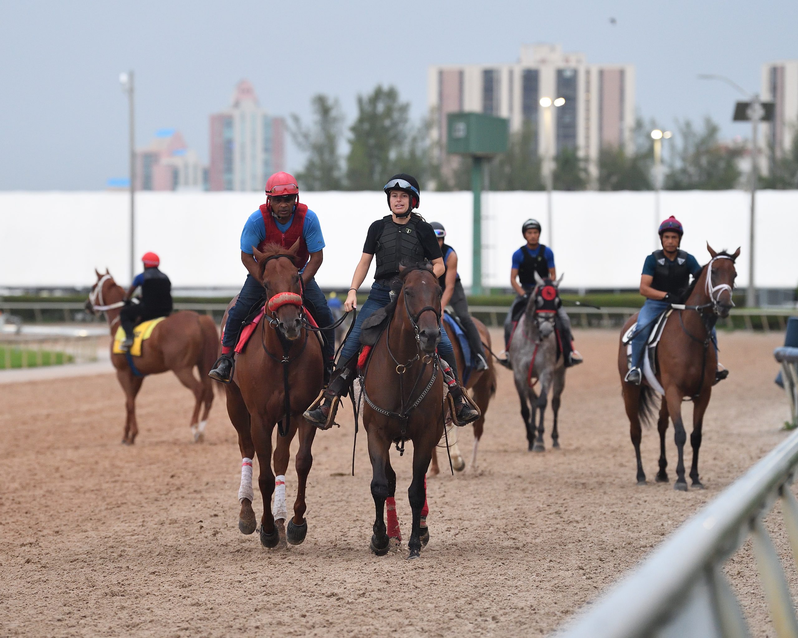 Las carreras se reanudan el domingo en Gulfstream Park | Hipismo.Net