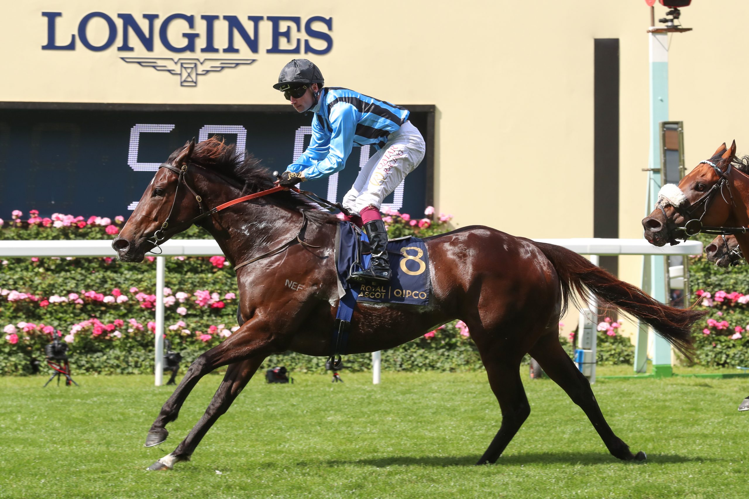 La estrella australiana ASFOORA gana el King Charles III Stakes y se ...