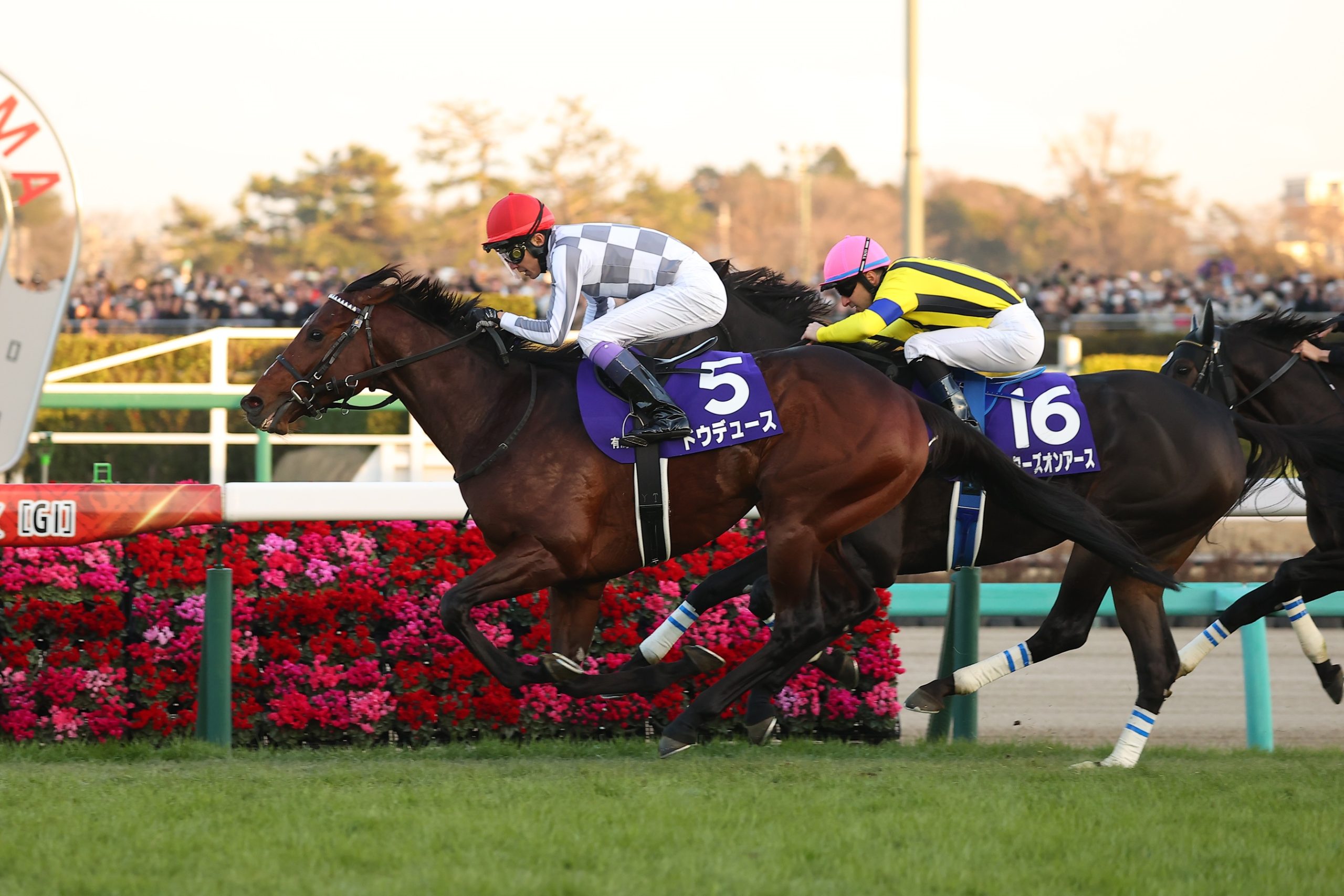 JRA anuncia los campeones de 2024 con DO DEUCE en plan estelar | Hipismo.Net