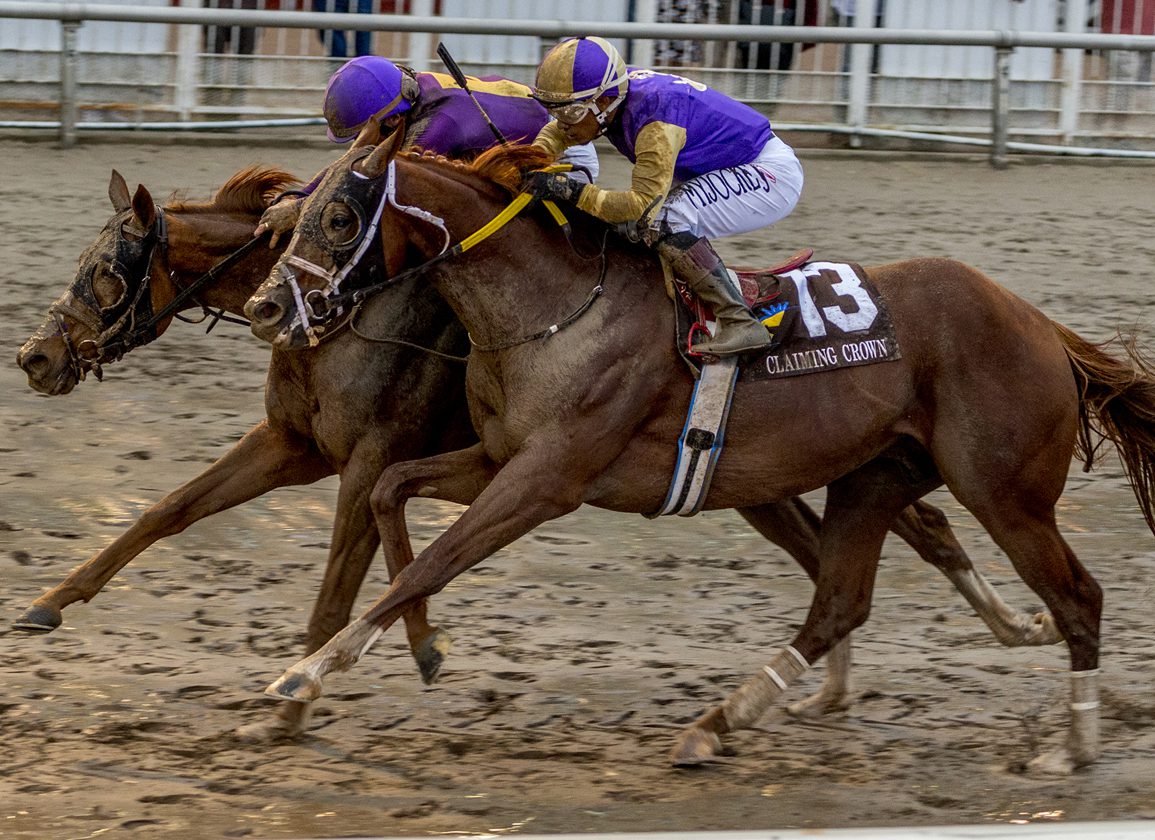 TIME FOR TROUBLE es el Caballo del Año de las Claiming Crown 2023 ...