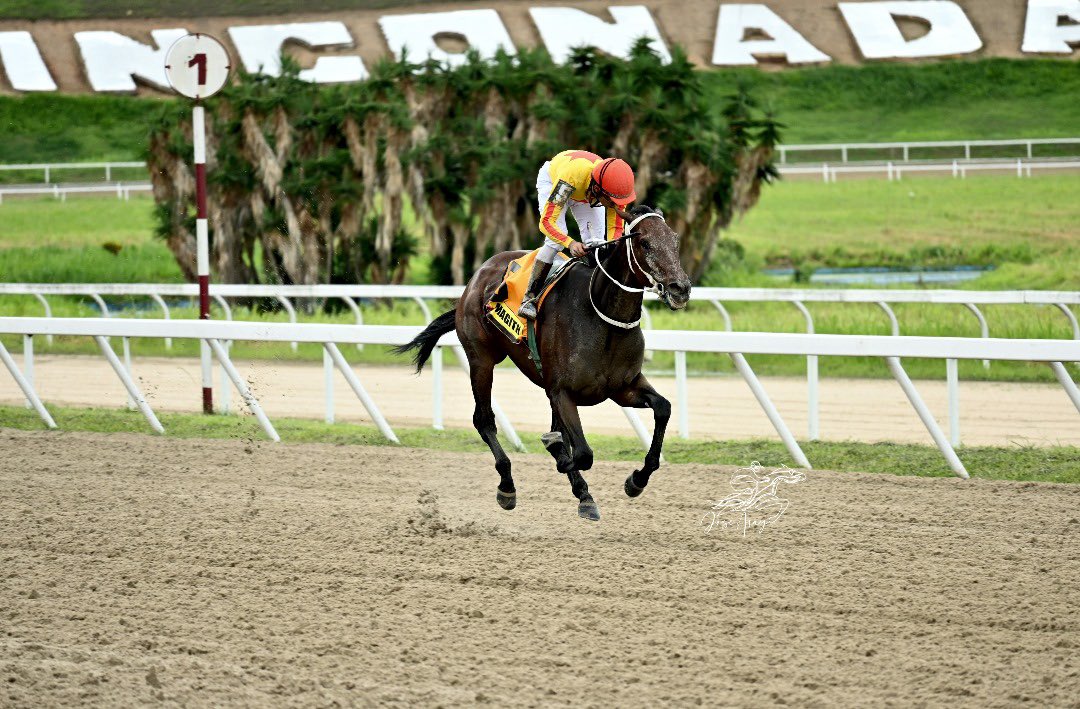 La Rinconada: LVI Clásico General Joaquín Crespo (G1) y dos ...