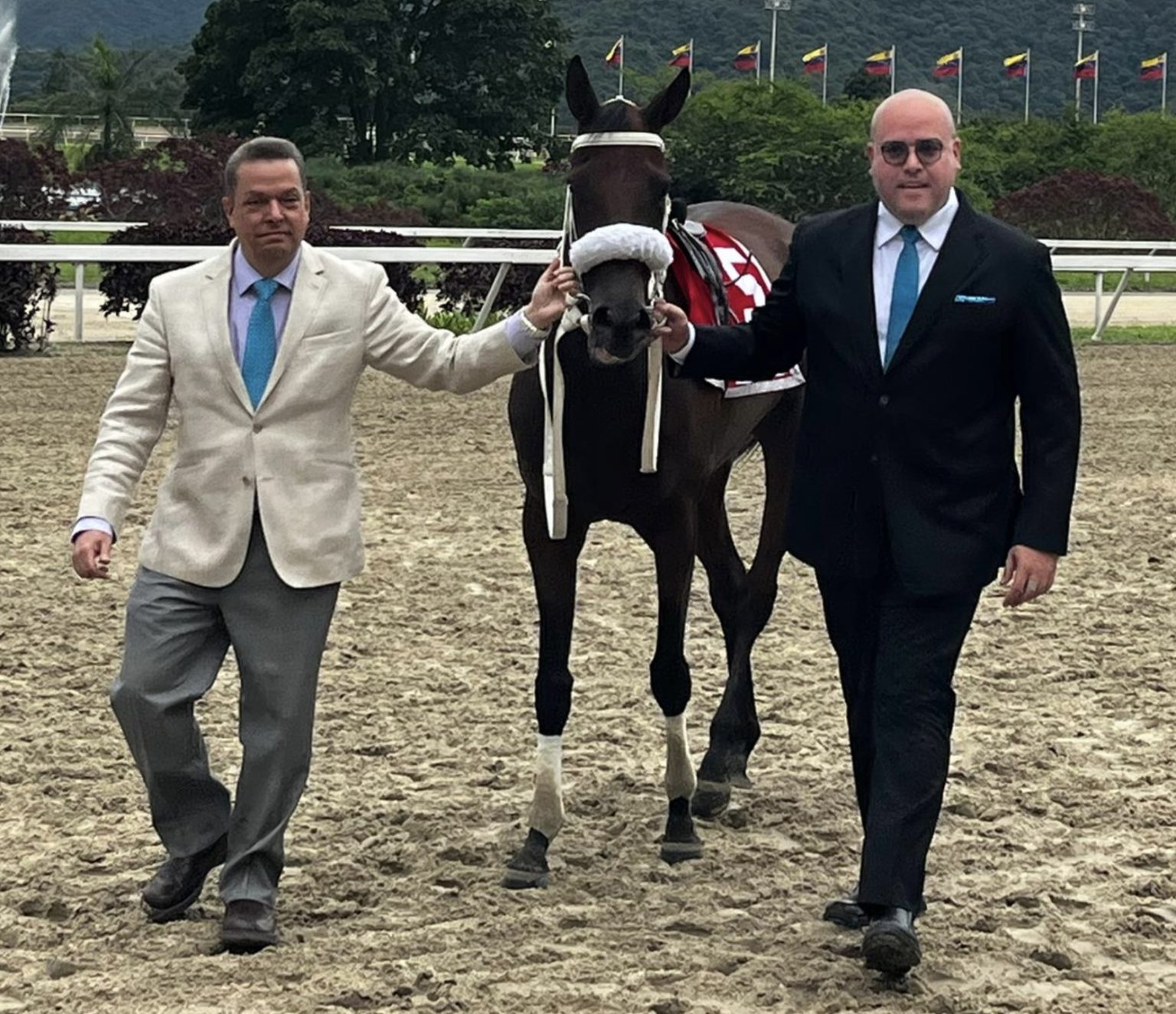 DANIELA RUNNER retorna a la senda ganadora en el Clásico Hípica ...