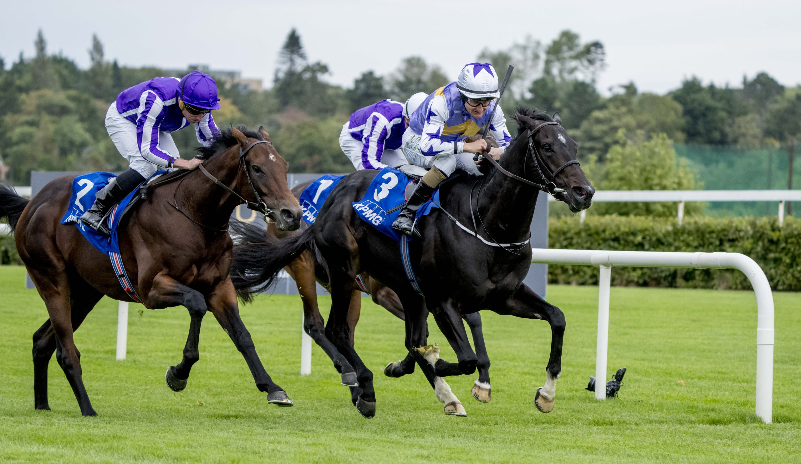 Breeders´ Cup Win And You´re In: GREEN IMPACT se impone en el KPMG ...