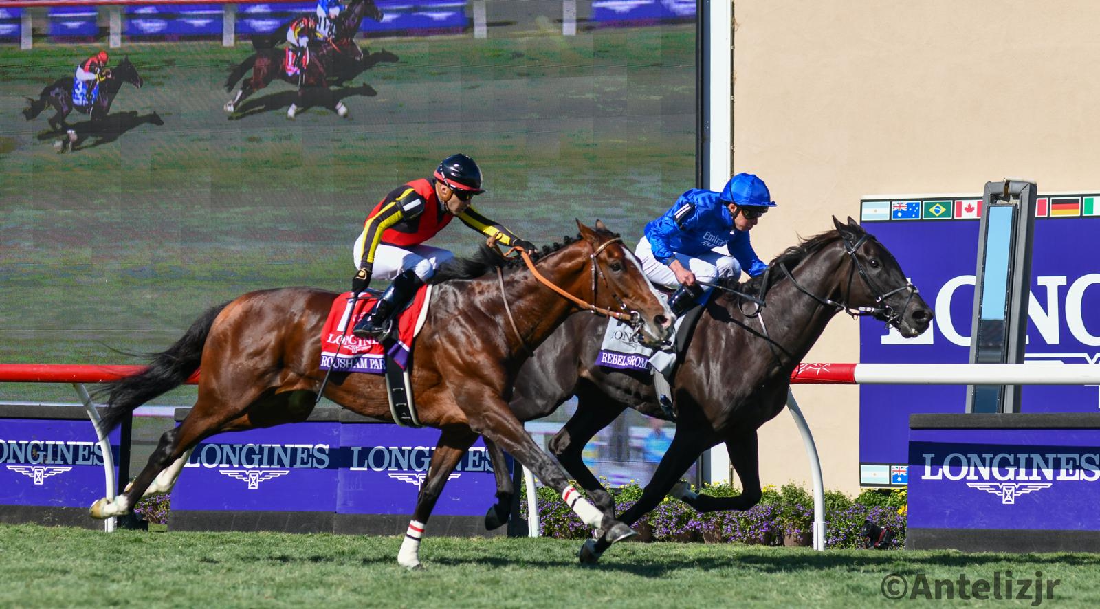 REBEL’S ROMANCE agranda su leyenda en la BC Turf | Hipismo.Net