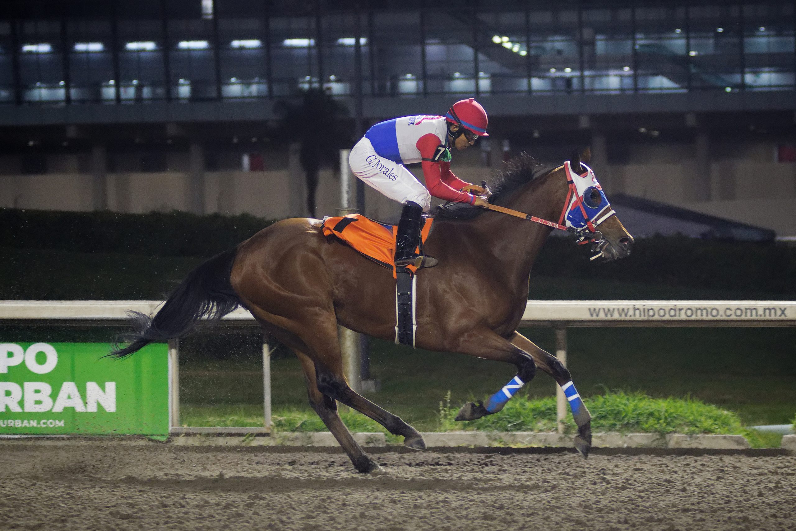 Súper victoria revolucionaria | Hipismo.Net