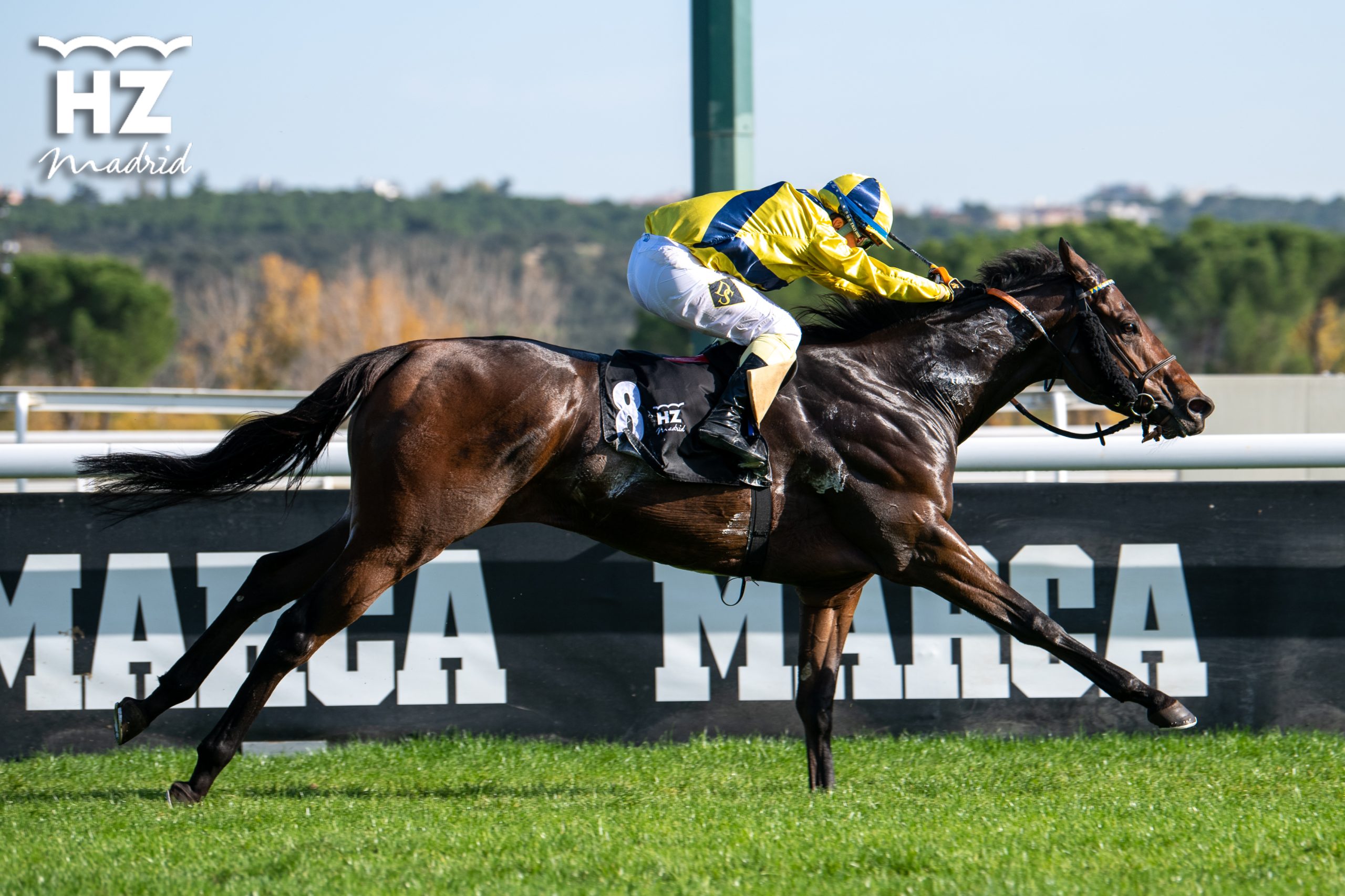 WITIZA sorprende ganando de punta a punta el GP Antonio Blasco ...