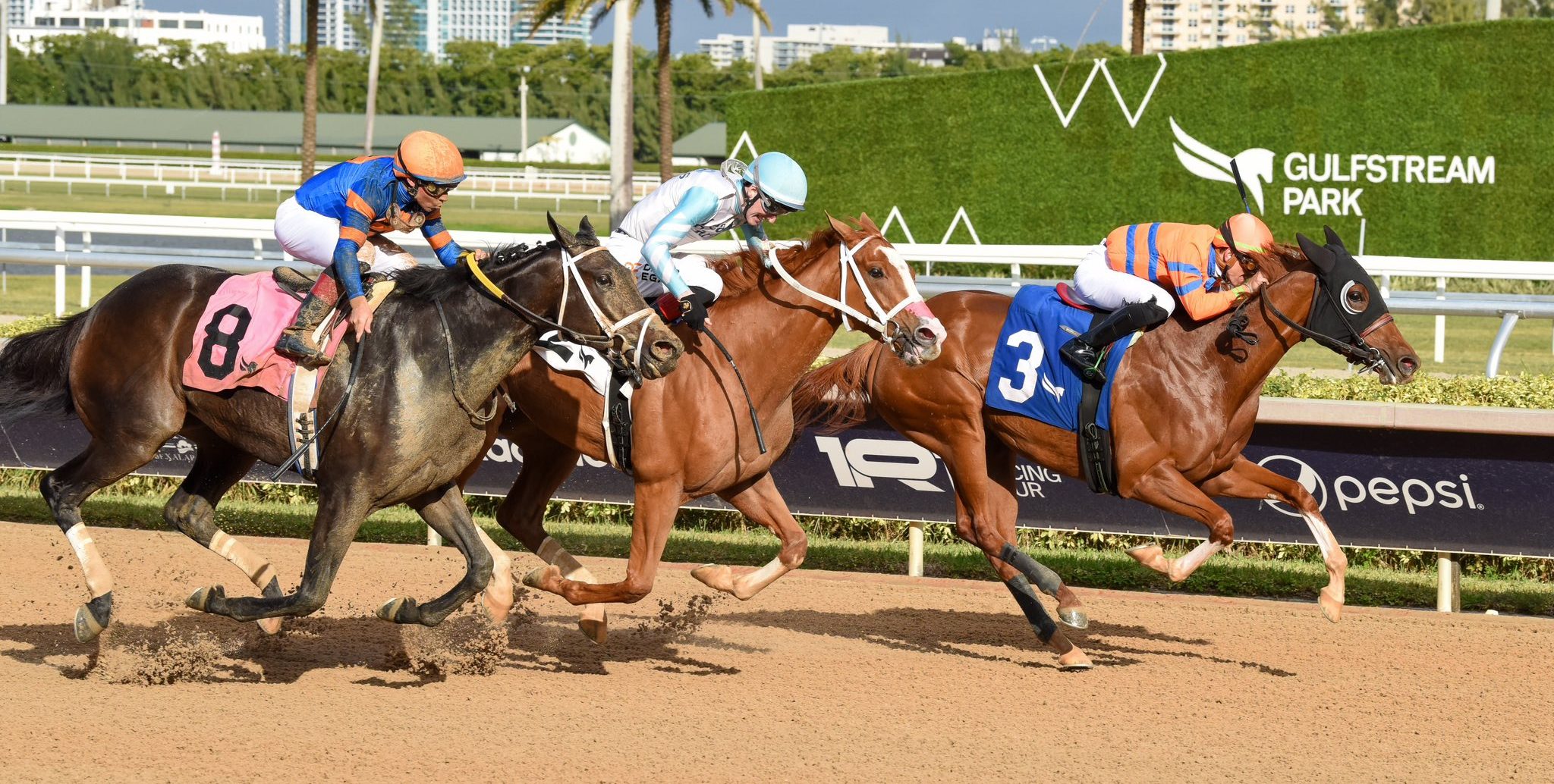 WINDY WALK sorprende a las ganadoras de Grado 1 en el Rampart | Hipismo ...