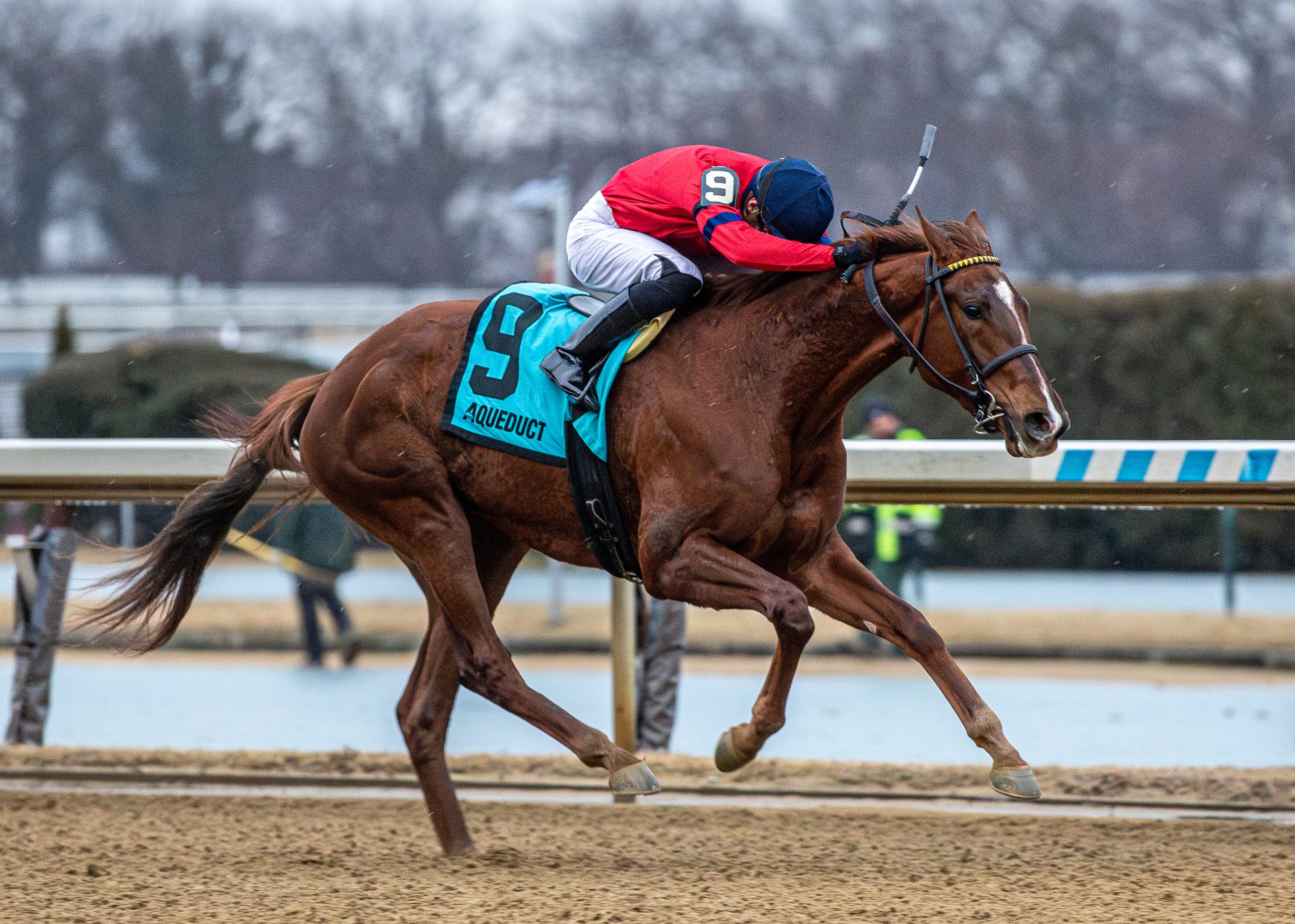 RUNNING AWAY de punta a punta en el Busanda Stakes | Hipismo.Net