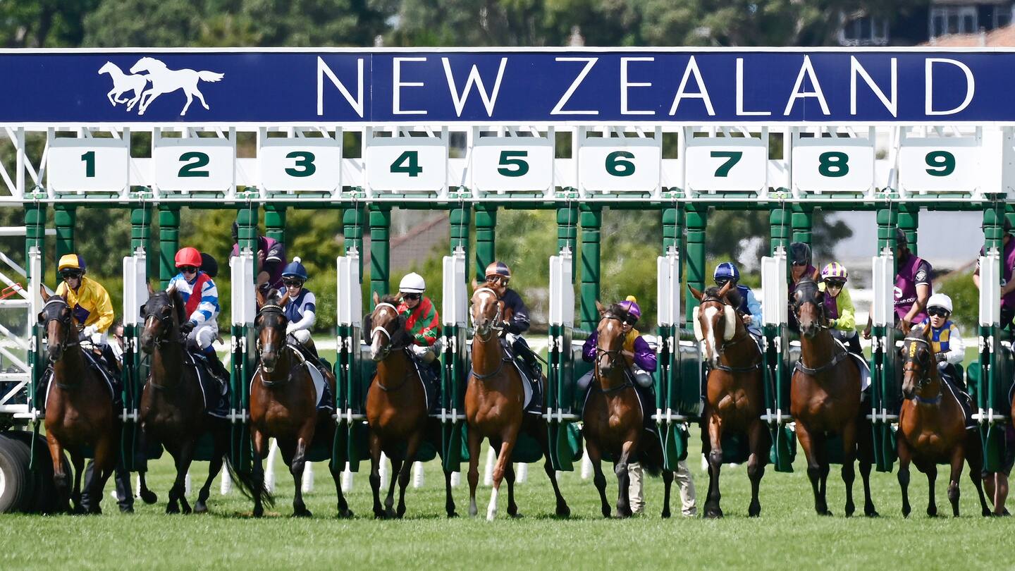 New Zealand Thoroughbred Racing y 1/ST se asocian para elevar la ...