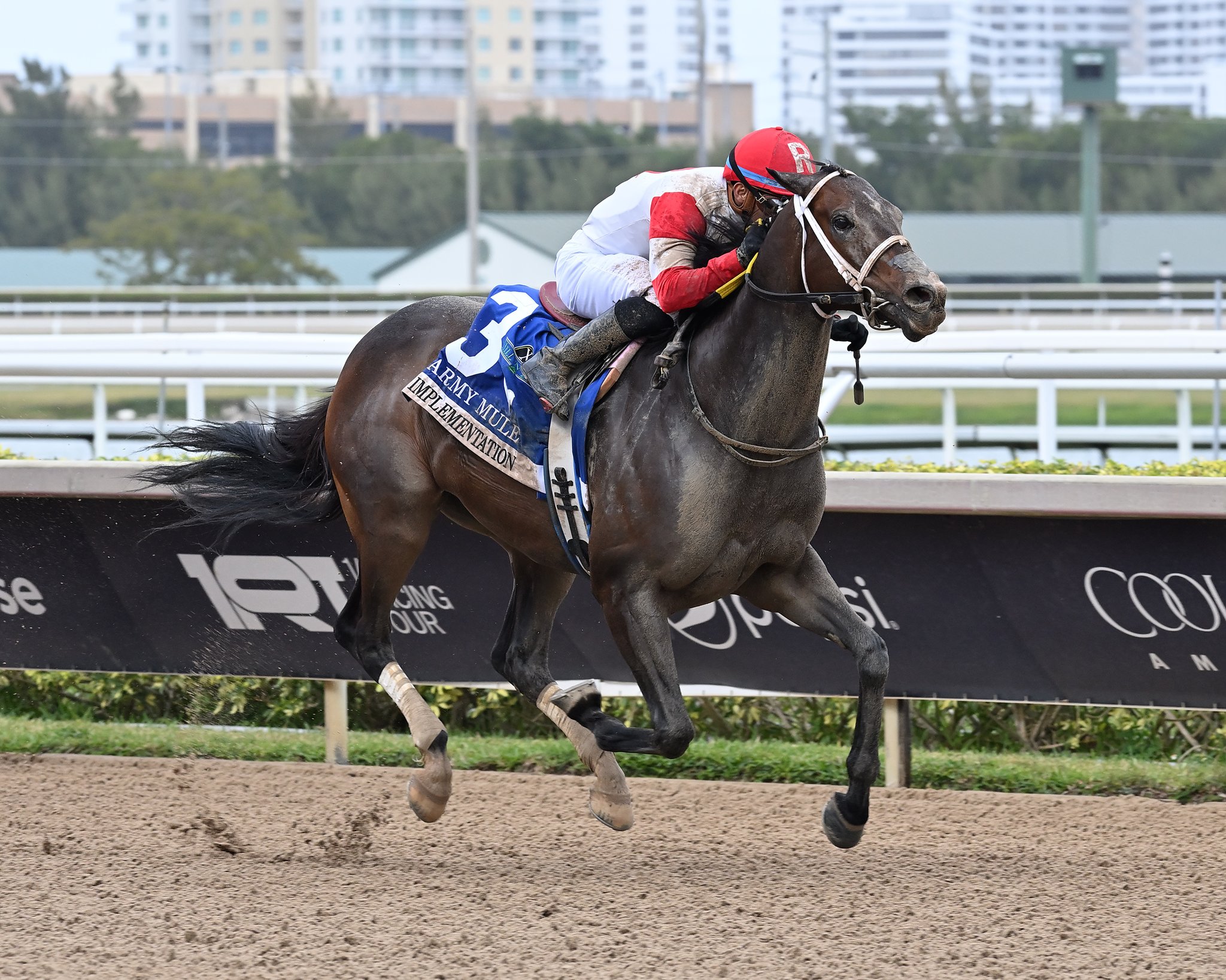 IMPLEMENTATION se luce con Manny Franco en el Amy Mule Stakes | Hipismo ...