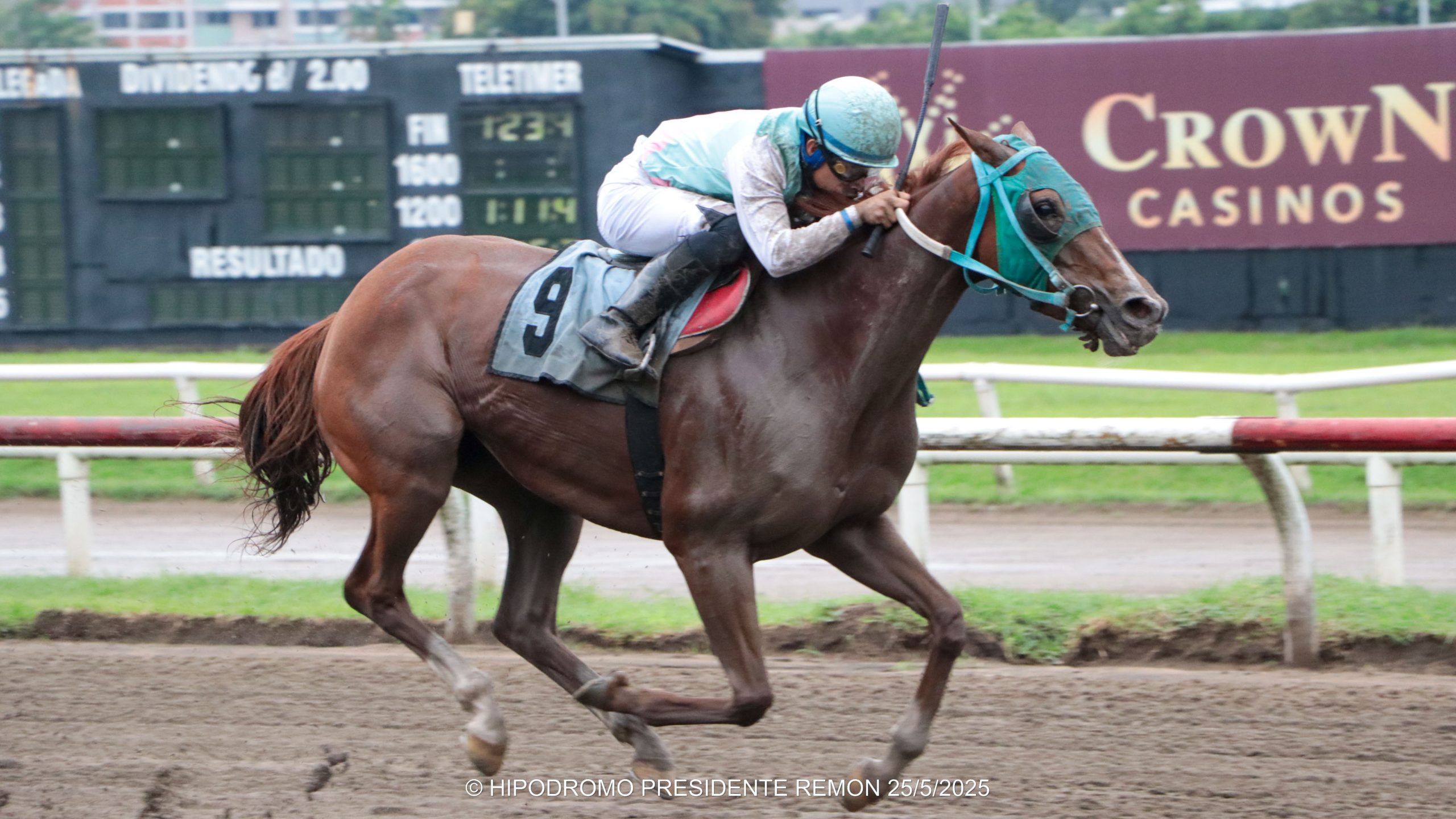 SOL TAN BONITA se impone con autoridad en el Premio Humberto "Chupao ...