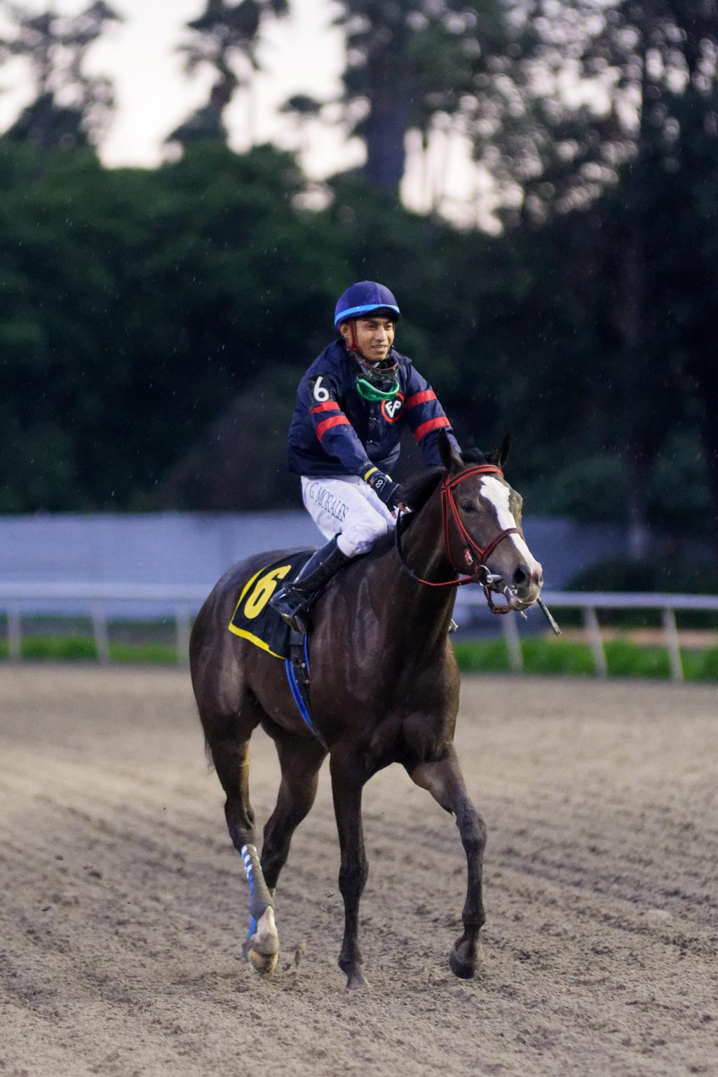 SABALENKA a una de la Triple Tiara mexicana | Hipismo.Net