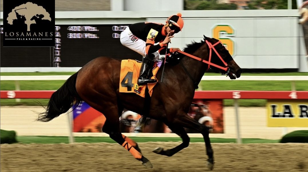 La Rinconada archivos | Hipismo.Net